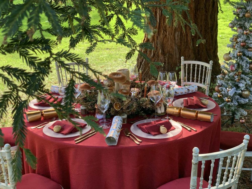 4 Breathtaking Style Trends for Christmas 2023 - Co-Ordination Event Hire